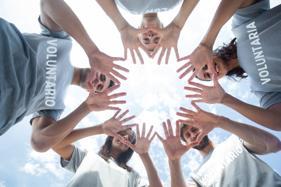 Voluntariado: una actividad esencial y perfectamente regulada ...